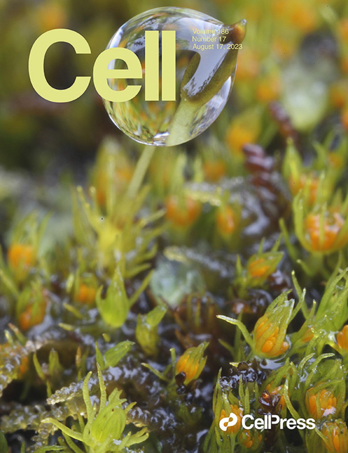  Cell Impact Factor Indexing Acceptance Rate Abbreviation